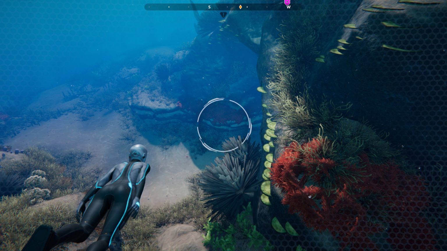 Análisis - Beyond Blue