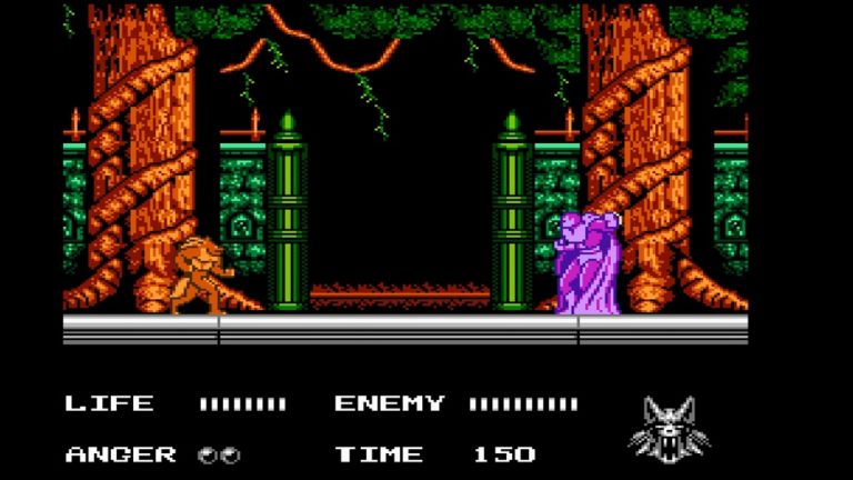 Werewolf: The Last Warrior - NES - 33bits